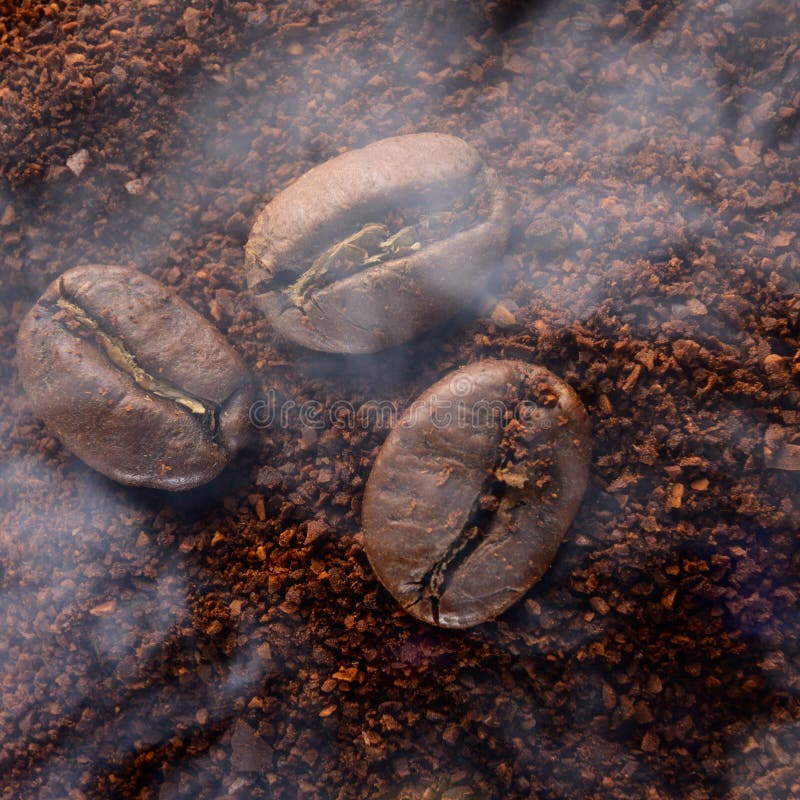 Three Coffee Beans Lie on Ground Coffee, Light Aromatic Coffee Smoke ...