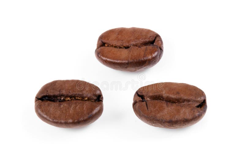 Three coffee beans stock photo. Image of three, white - 41490836
