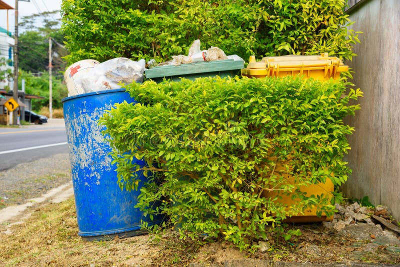 Three Color Garbage Bins Behind the Tree Stock Photo - Image of ...