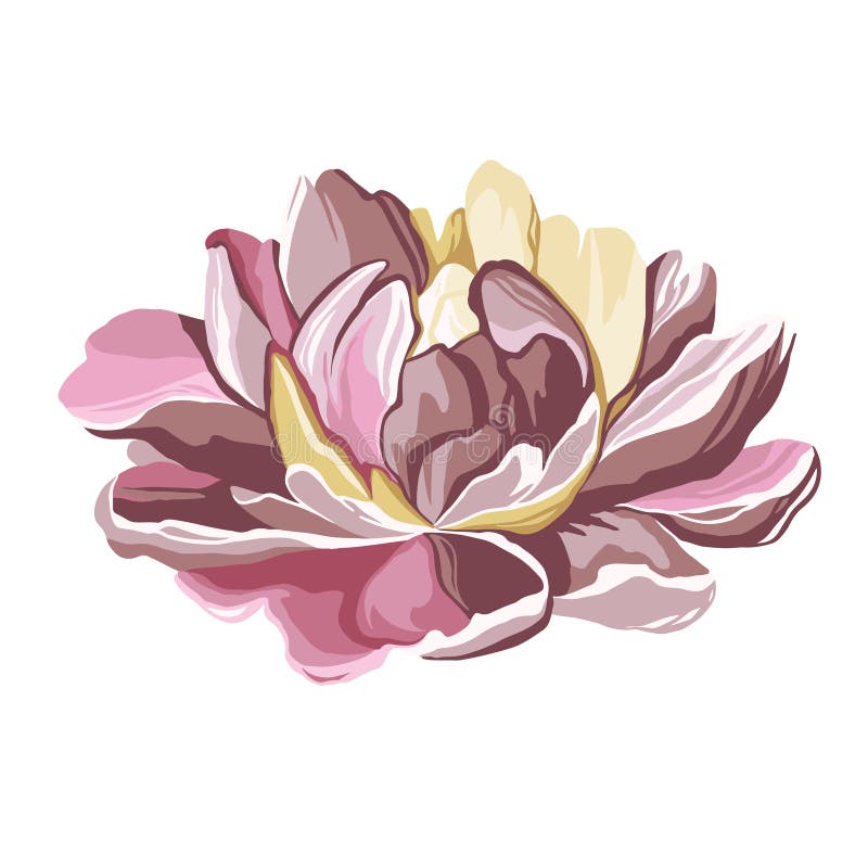 Three-color Original Flower Peony, Lily Vector Stock Vector ...