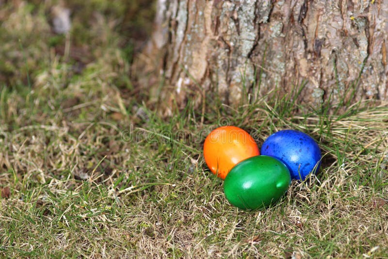 Three Colored Easter Eggs Under a Tree Stock Photo - Image of searching ...