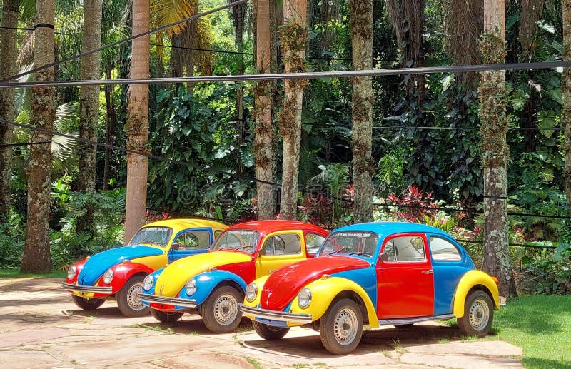 Three Colorful Beetles Parked in a Beautiful Landscape Editorial Image ...