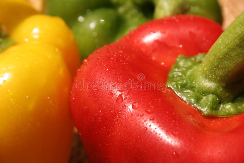 Three Colors Pepper stock photo. Image of pepper, recipe - 904660