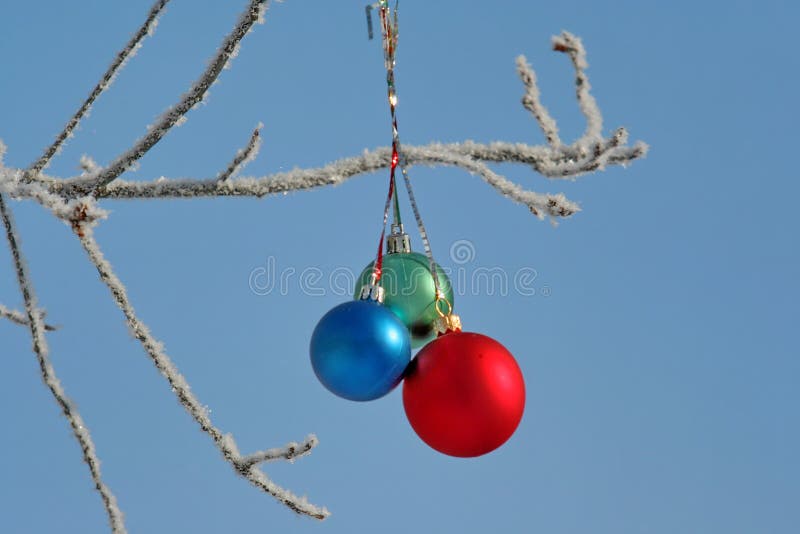 Three Colour Balls on a Branch Stock Photo - Image of colour, green ...