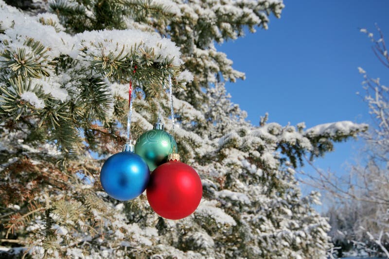 Three Balls on Branch of the Tree Stock Image - Image of bright ...