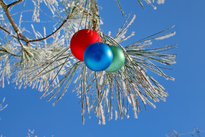 Three Balls on Branch of the Tree Stock Image - Image of bright ...