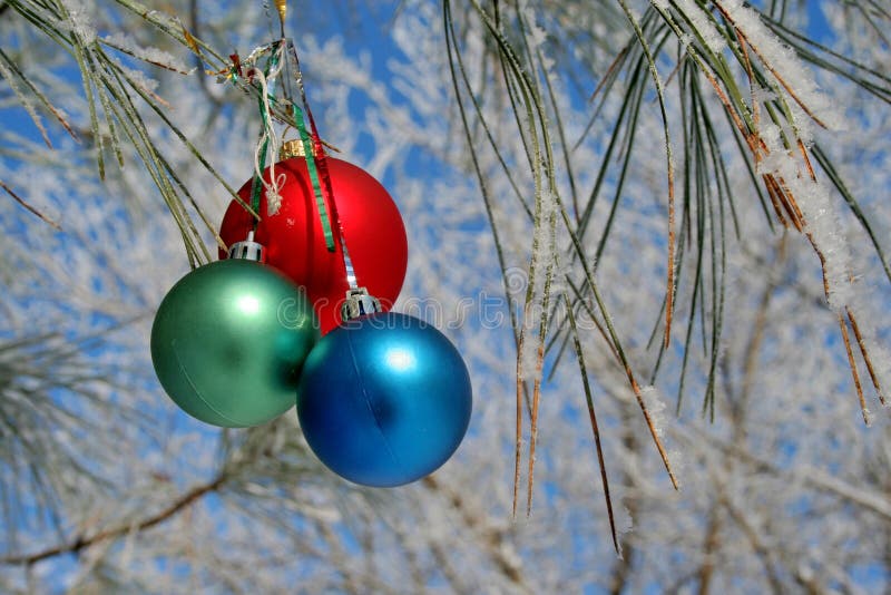 Three Balls on Branch of the Tree Stock Image - Image of bright ...