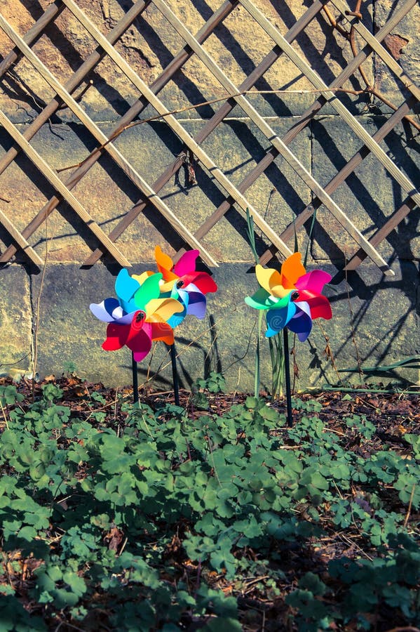 Three Color Pinwheel Stock Photos - Free & Royalty-Free Stock Photos ...