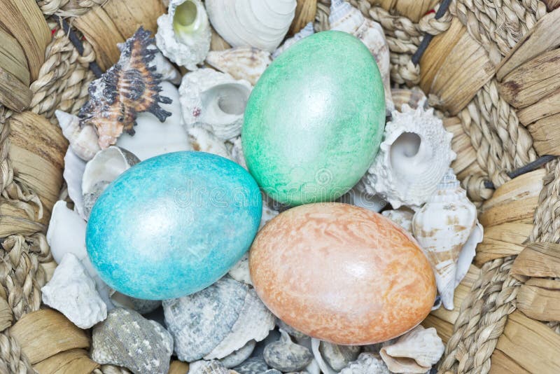 Three Colourfull Easter Eggs with Shells Stock Photo - Image of animal ...