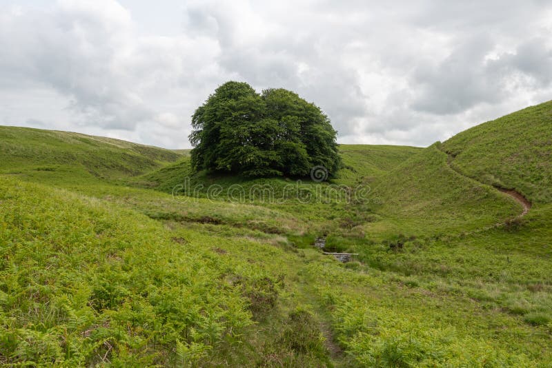 Three Combes Foot stock photo. Image of water, place - 392454596