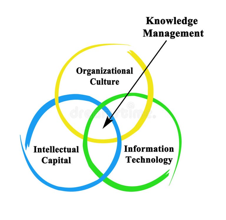 Components of Knowledge Management Stock Illustration - Illustration of ...