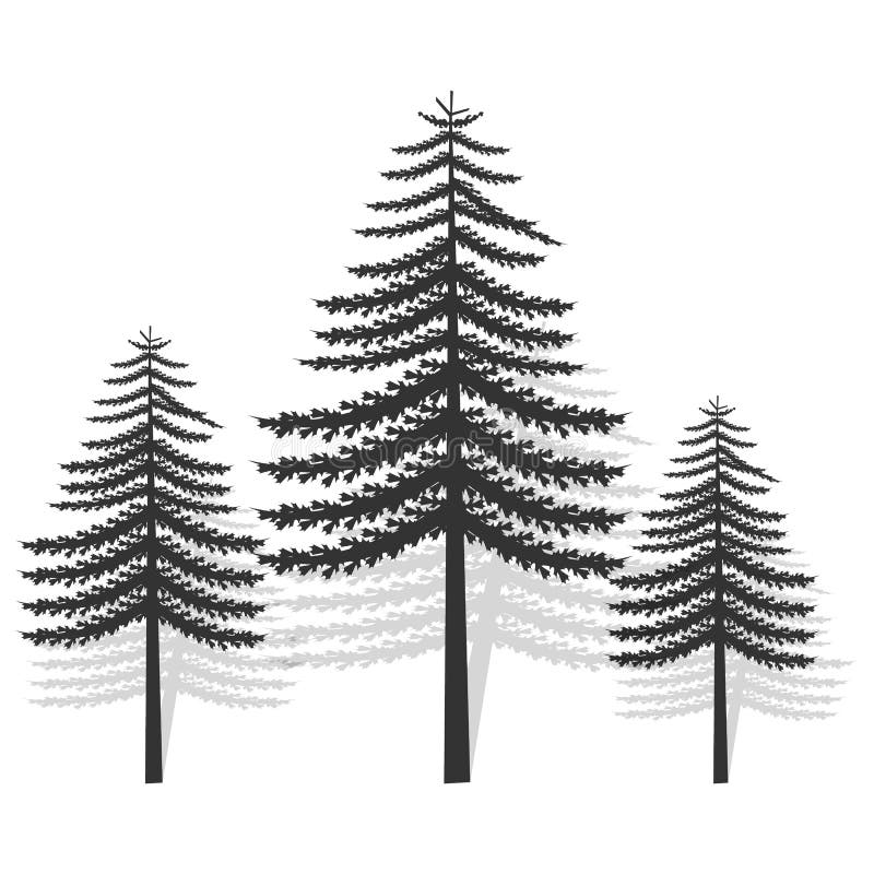 Three Fir Coniferous Pine Forest Tree Nature Adventure Logo Stock ...