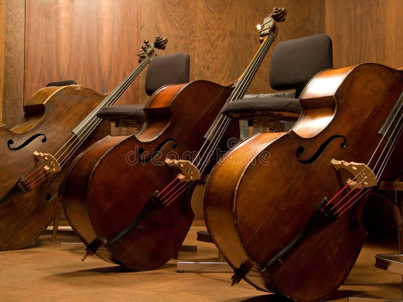 Three Contrabasses stock photo. Image of artist, music - 7896248