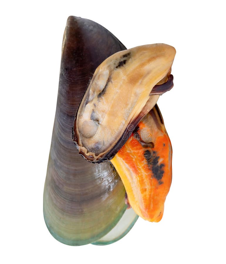 Steamed Green Dumplings Served in a Bamboo Basket at a Restaurant ...