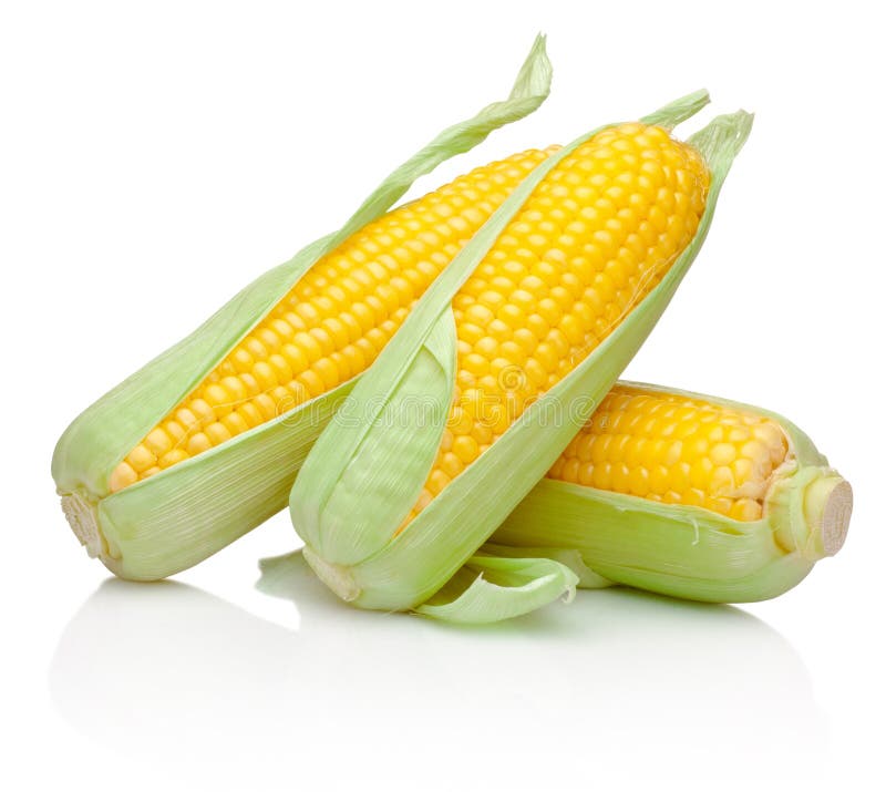 Three Corn Cob Isolated on White Background Stock Photo - Image of crop ...