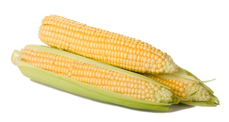 Three Corn Cobs with Green Leaves Stock Image - Image of ripe ...