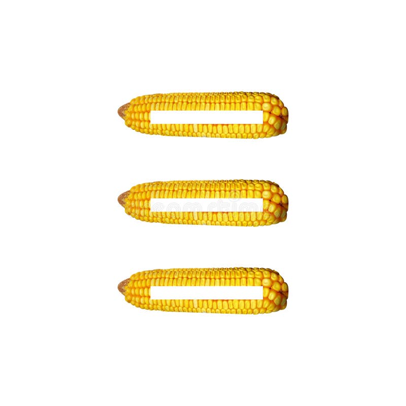 Three Corn Cobs with White Space on Them Stock Photo - Image of ...