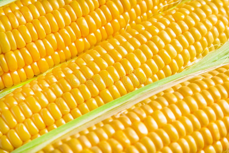 Three Corn Ears with Green Leaves Close Up Stock Photo - Image of ...