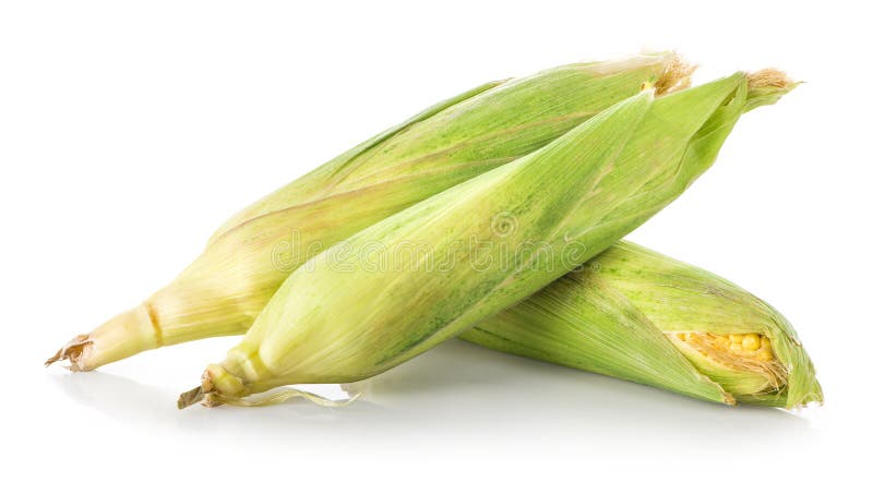 Three Corn Cob Isolated on White Background Stock Photo - Image of crop ...