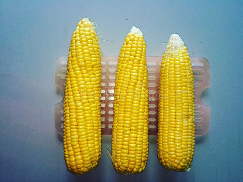 Three corns stock image. Image of vegetable, vital, three - 101989029