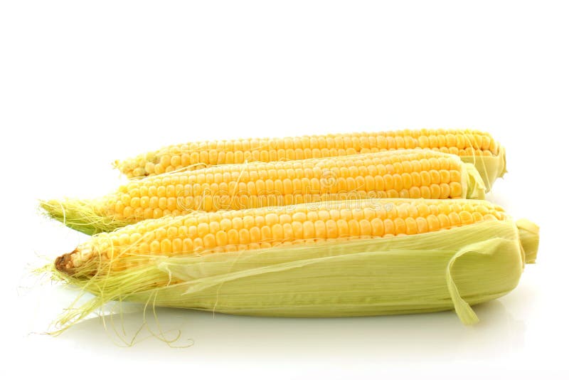 Three corns isolated stock photo. Image of colorful, maize - 10272010