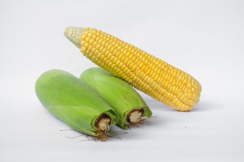Three Corns on a White Background Stock Photo - Image of yellow ...