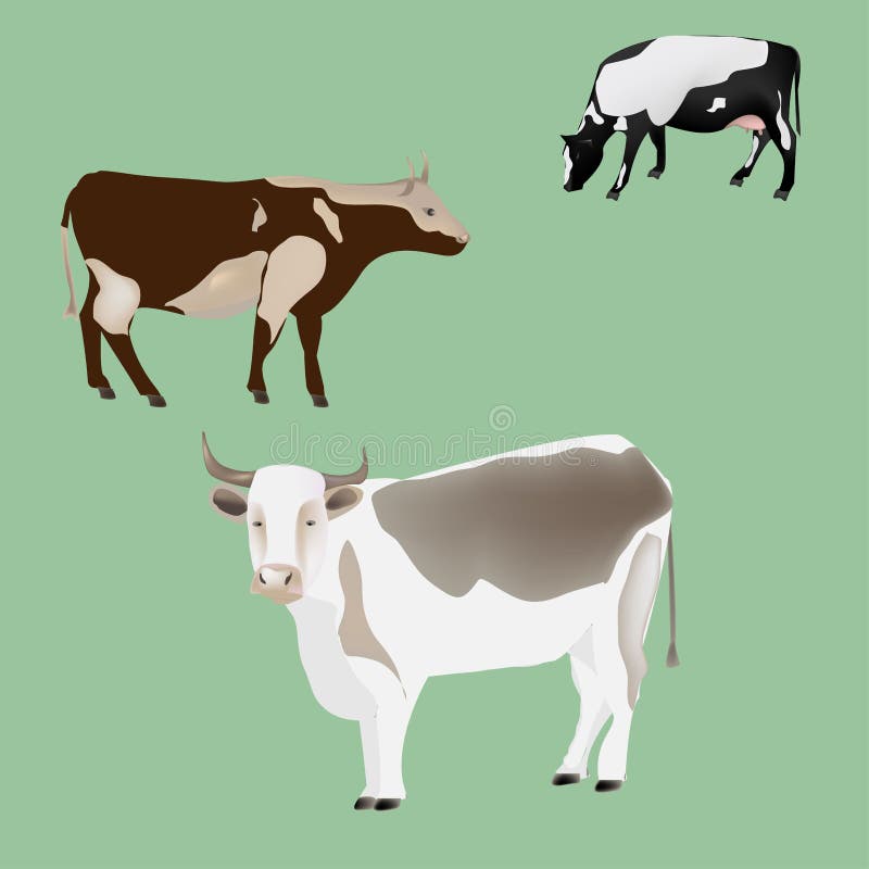 Three Cows of Different Colors Stock Illustration - Illustration of ...
