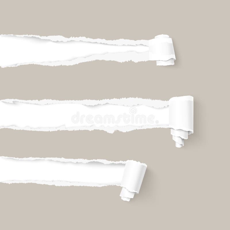 Three Craft Gray Torn Paper with Scroll Stock Vector - Illustration of ...