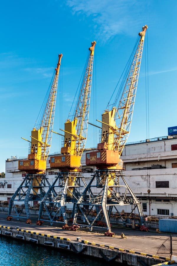 Three Cranes are Standing on a Dock, with One Crane Being the Tallest ...