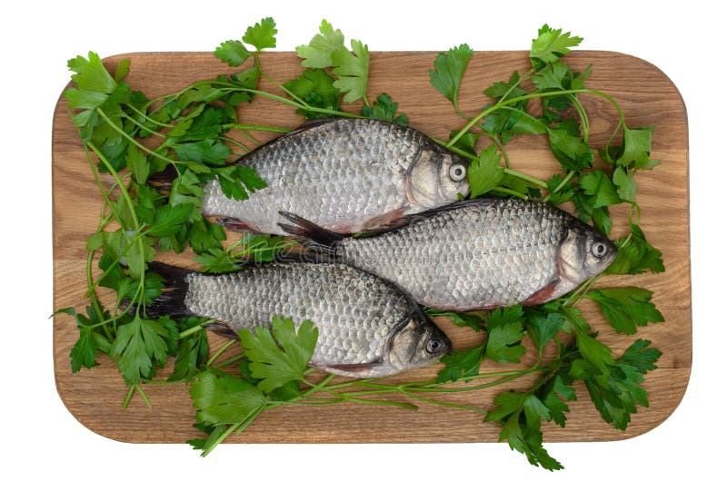 Three of Crucian Carp Fish Isolate Stock Image - Image of animal, fish ... Three of Crucian Carp Fish Isolate Stock Image - Image of animal, fish ...