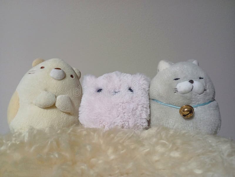 Three Cute Cuddly Friends Posing for Photo Stock Image - Image of ...