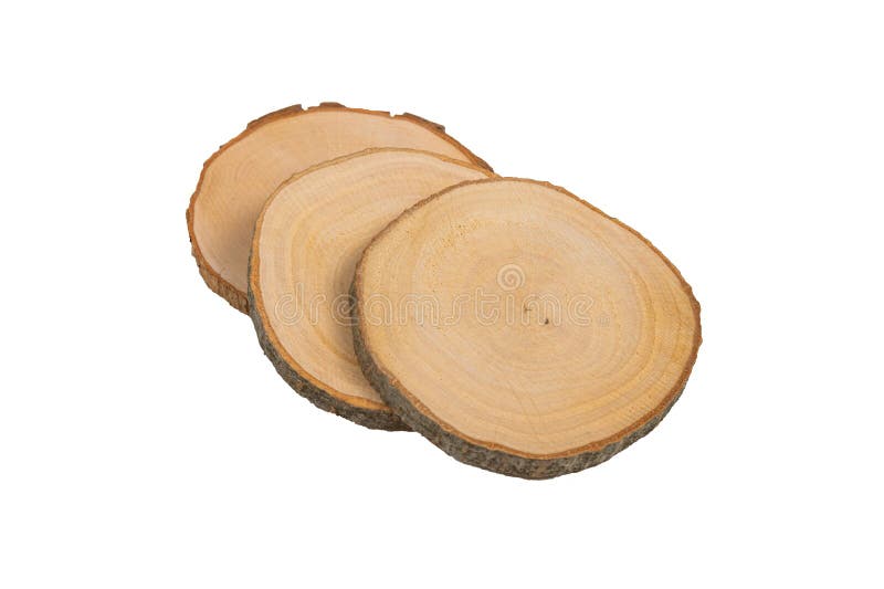 Three Cutted Tree Trunk Isolated on White Background, Top View Stock ...
