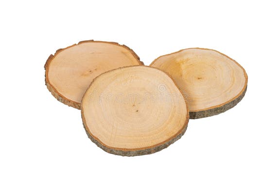 Three Cutted Tree Trunk Isolated on White Background, Top View Stock ...