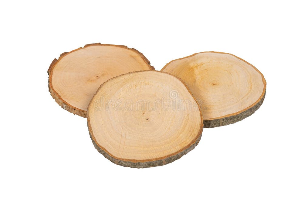 Three Cutted Tree Trunk Isolated on White Background, Top View Stock ...