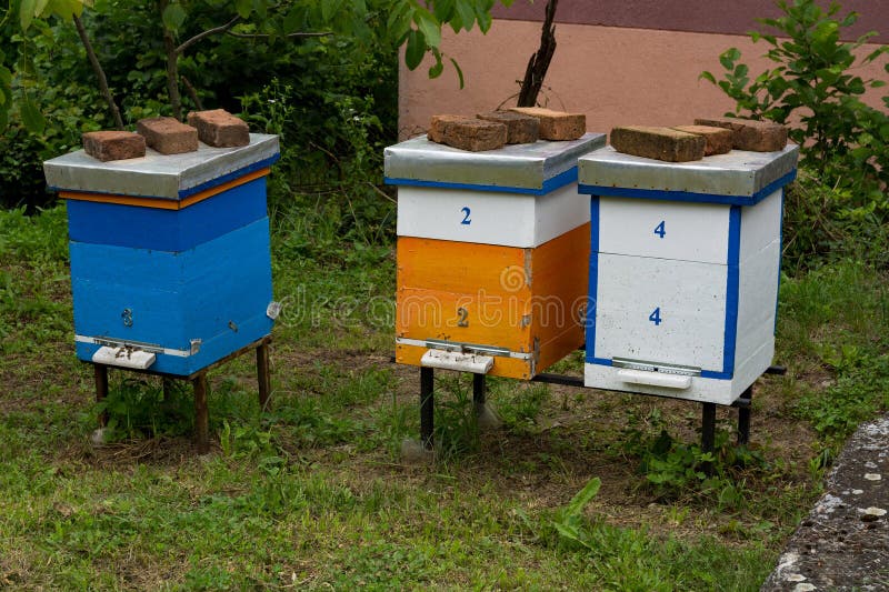 Three Dadant Blatt Beehives in a Backyard on a Spring Day Stock Image ...
