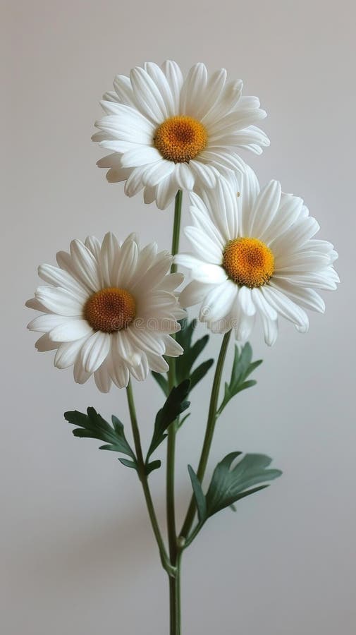 Three Daisies in a Vase on a Table Stock Image - Image of decor, generative: 313020181