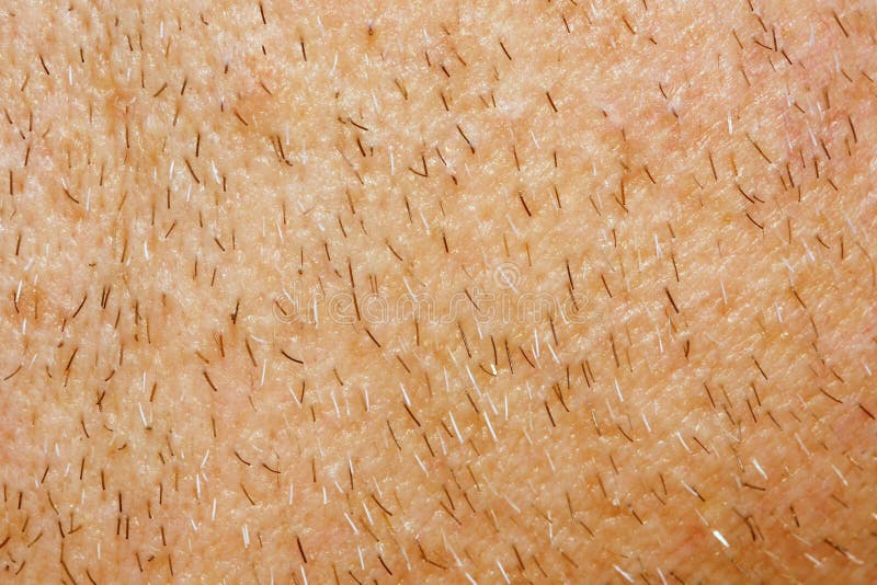 Three-day stubble beard stock photo. Image of razor, beard - 5916954 Three-day stubble beard stock photo. Image of razor, beard - 5916954