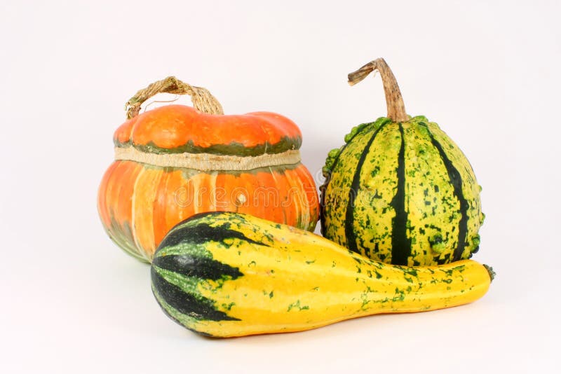 Three decorative gourds stock photo. Image of harvest - 11751378