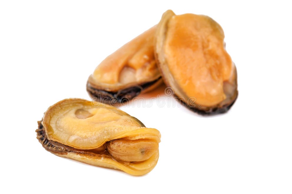 Three delicious mussels stock image. Image of sauces - 84723683