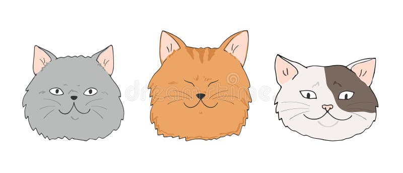 Three Different Cat Faces Set. Different Cat Breeds. Cute Cat Faces ...