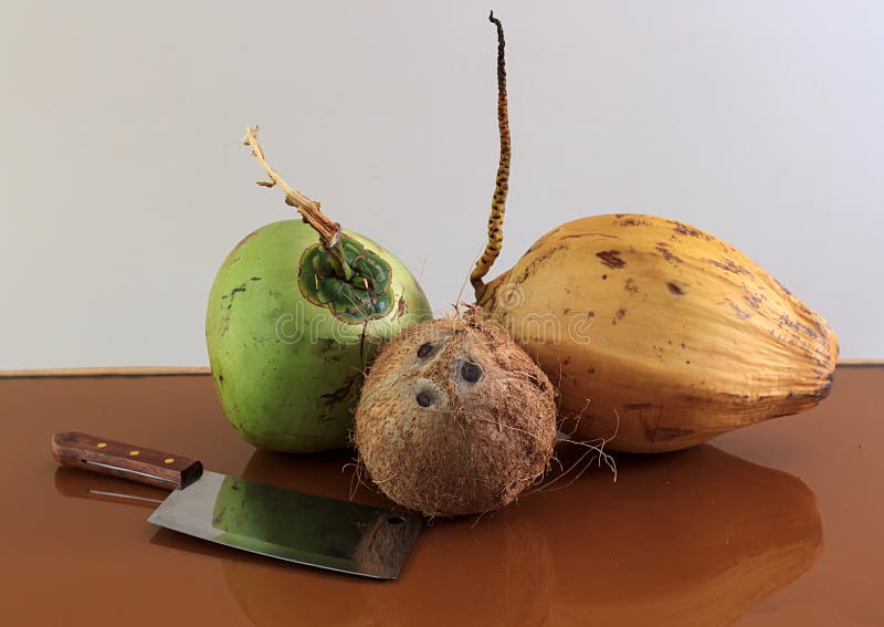 Three different coconuts stock photo. Image of clean - 65319234