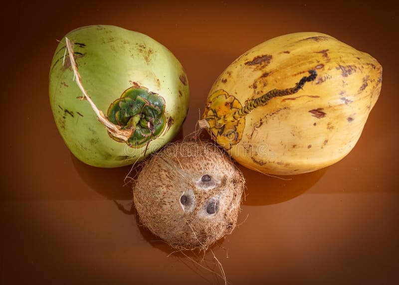 Three different coconuts stock photo. Image of clean - 65319234