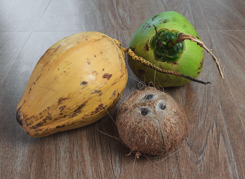 Three different coconuts stock photo. Image of clean - 65319234