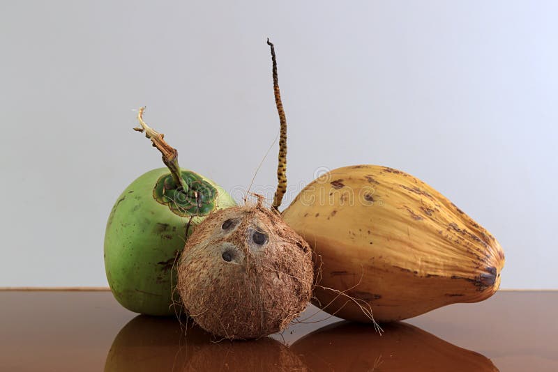 Three different coconuts stock photo. Image of healthy - 65319496