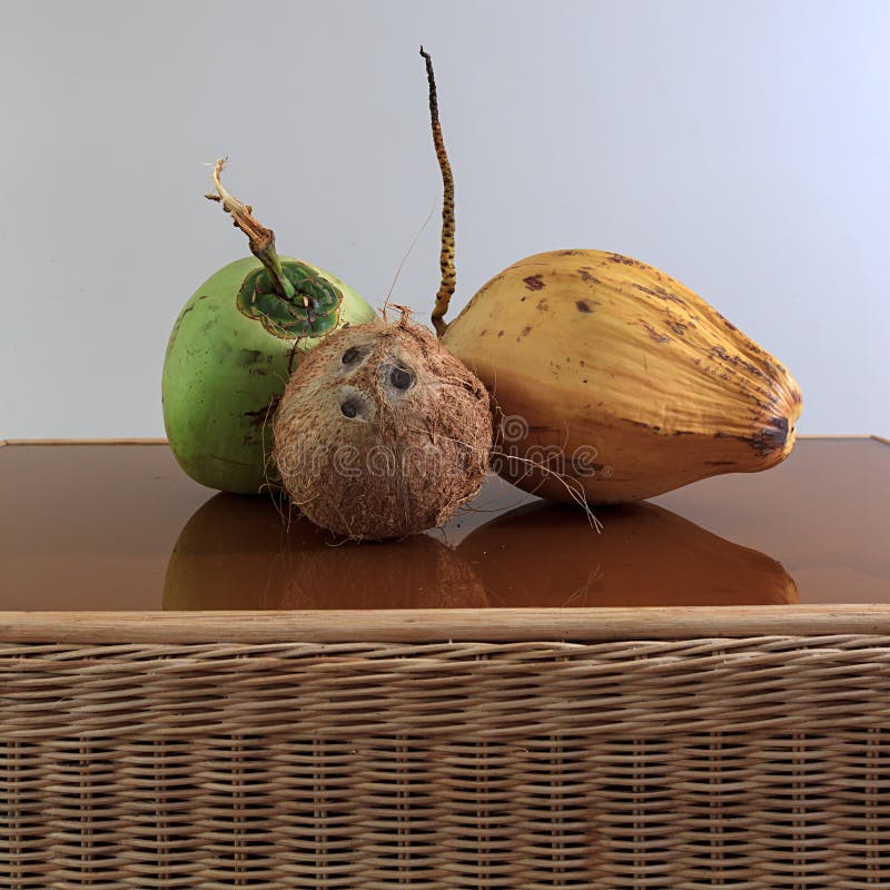 Three different coconuts stock photo. Image of healthy - 65319496