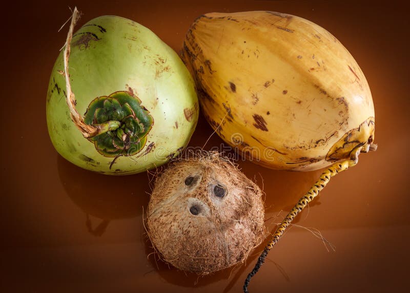 Three different coconuts stock photo. Image of clean - 65319234