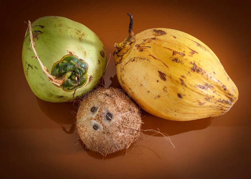 Three different coconuts stock photo. Image of diversity - 65319322