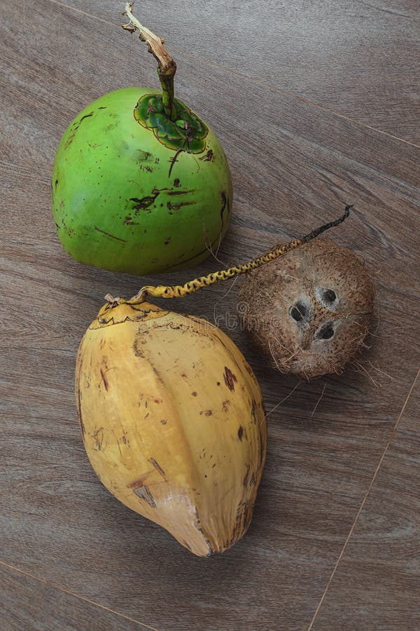 Three Different Coconuts on Table Stock Photo - Image of detoxication ...