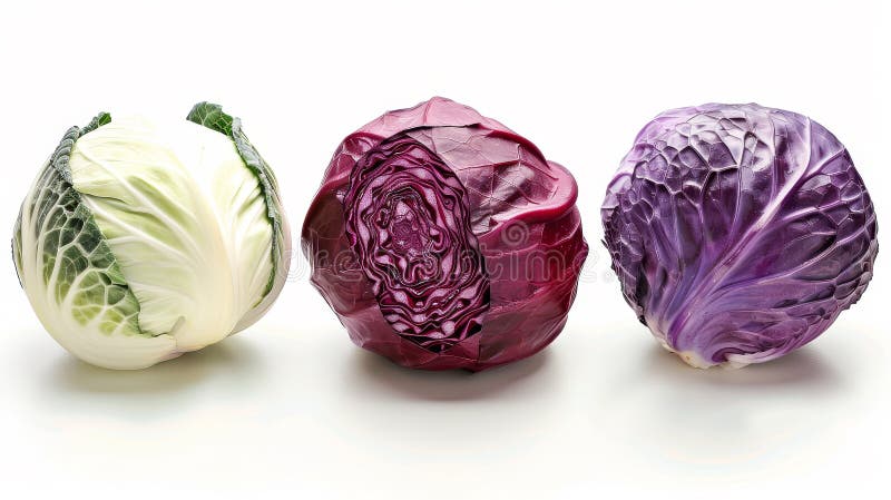 Three Different Colored Cabbage Heads are Shown, with One Being White ...