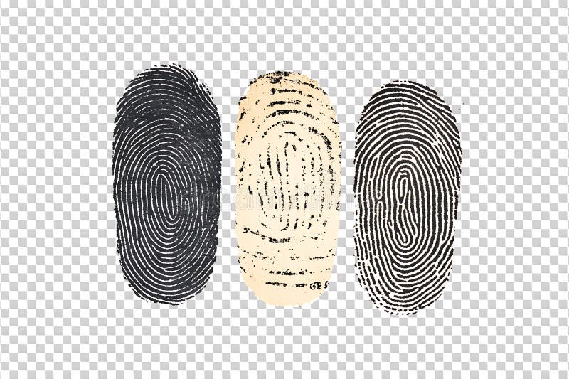 Three Different Fingerprints are Shown Each Isolated on White or ...